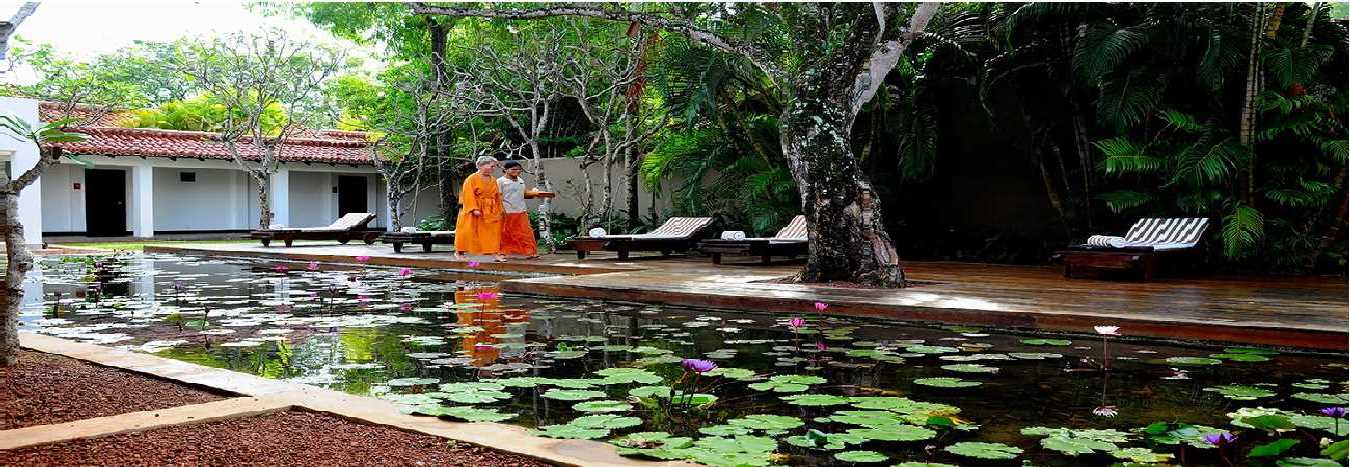 Maha Gedara - Ayurveda Kuren & Reisen in Sri Lanka & Indien & Europa